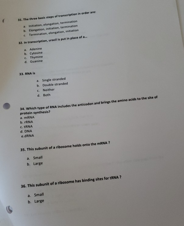 Solved 31. The three basic steps of transcription in order | Chegg.com