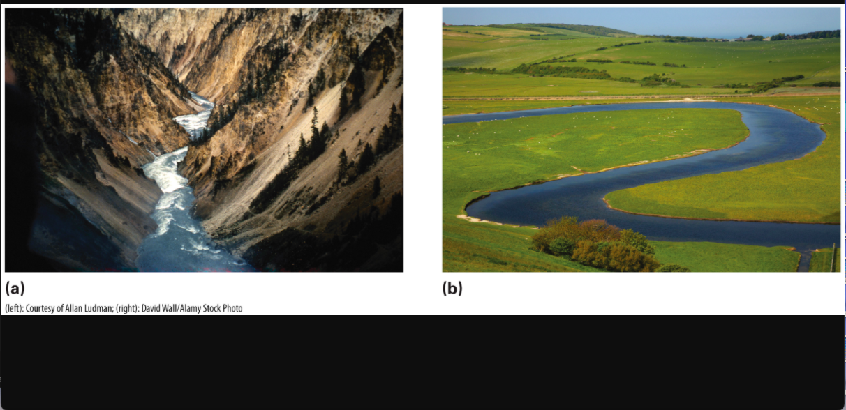 Solved (b) (a) (left): Courtesy of Allan Ludman; (right): | Chegg.com