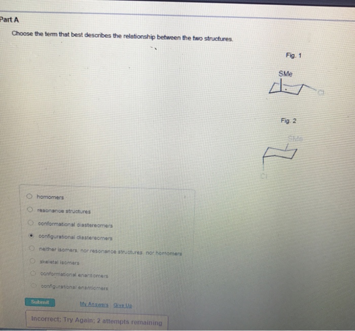 Solved Choose the term that best describes the relationship | Chegg.com