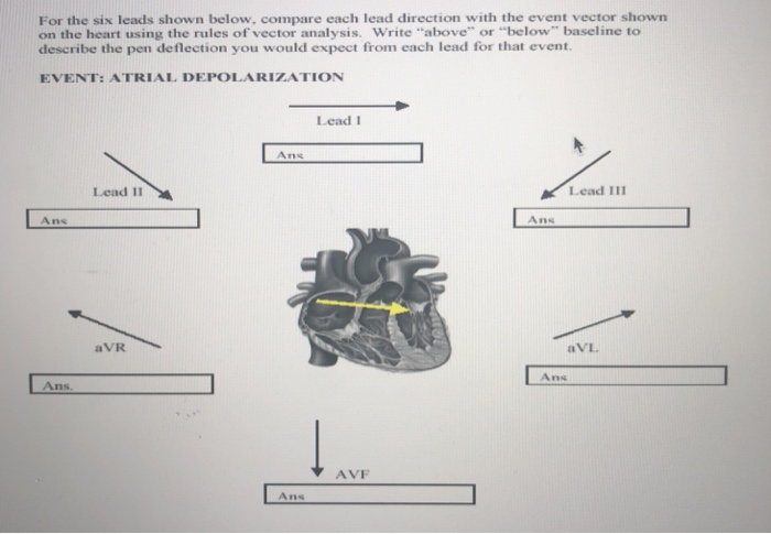 Solved For the six leads shown below, compare each lead | Chegg.com
