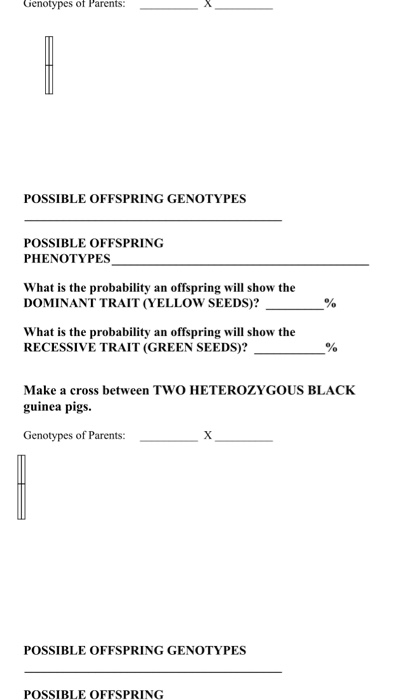 Solved Genotypes of Parents: POSSIBLE OFFSPRING GENOTYPES | Chegg.com