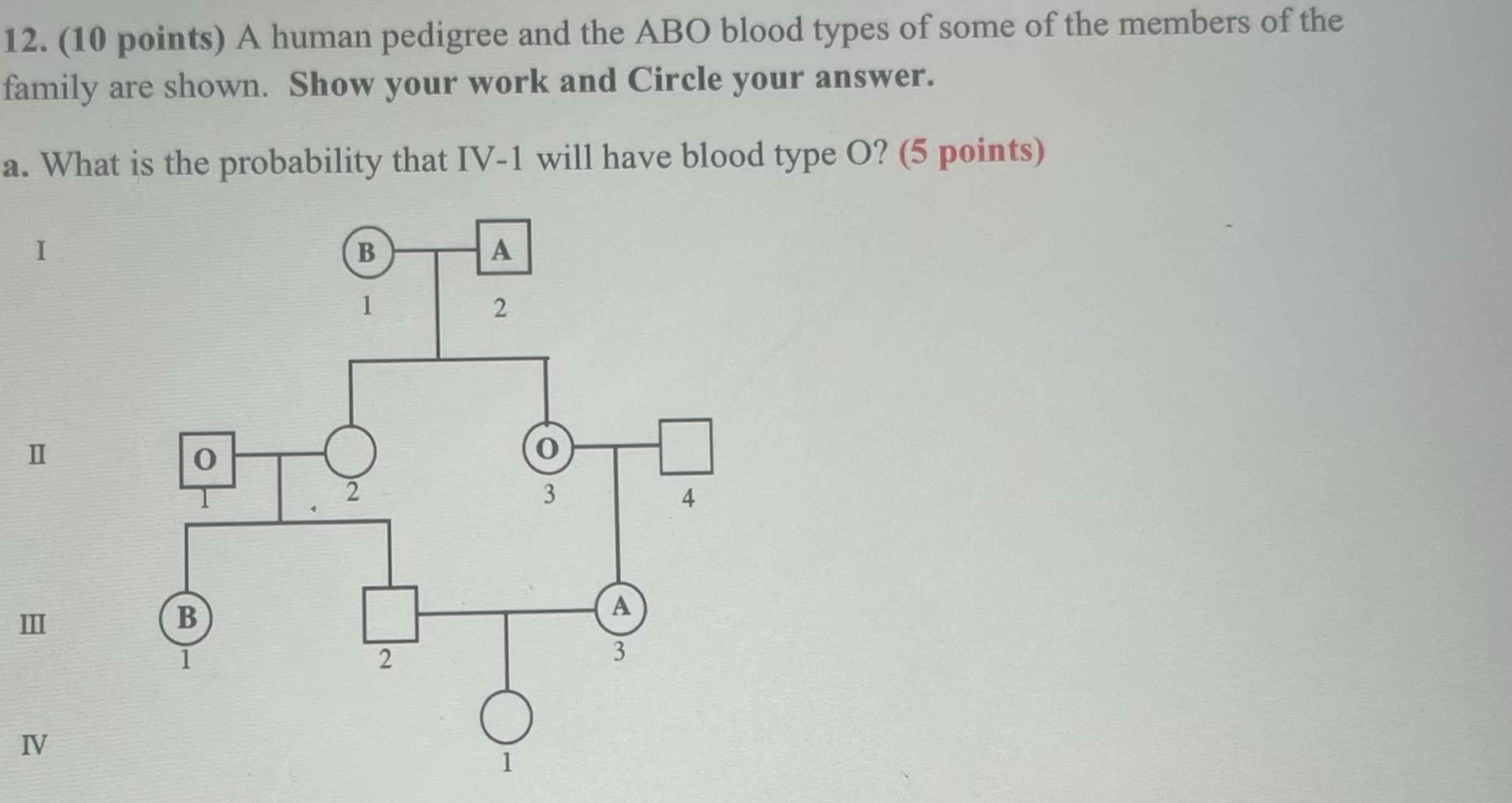 Solved A human pedigree and the ABO blood types of some of | Chegg.com