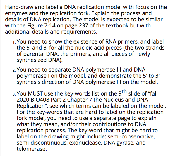 Hand-draw and label a DNA replication model with | Chegg.com