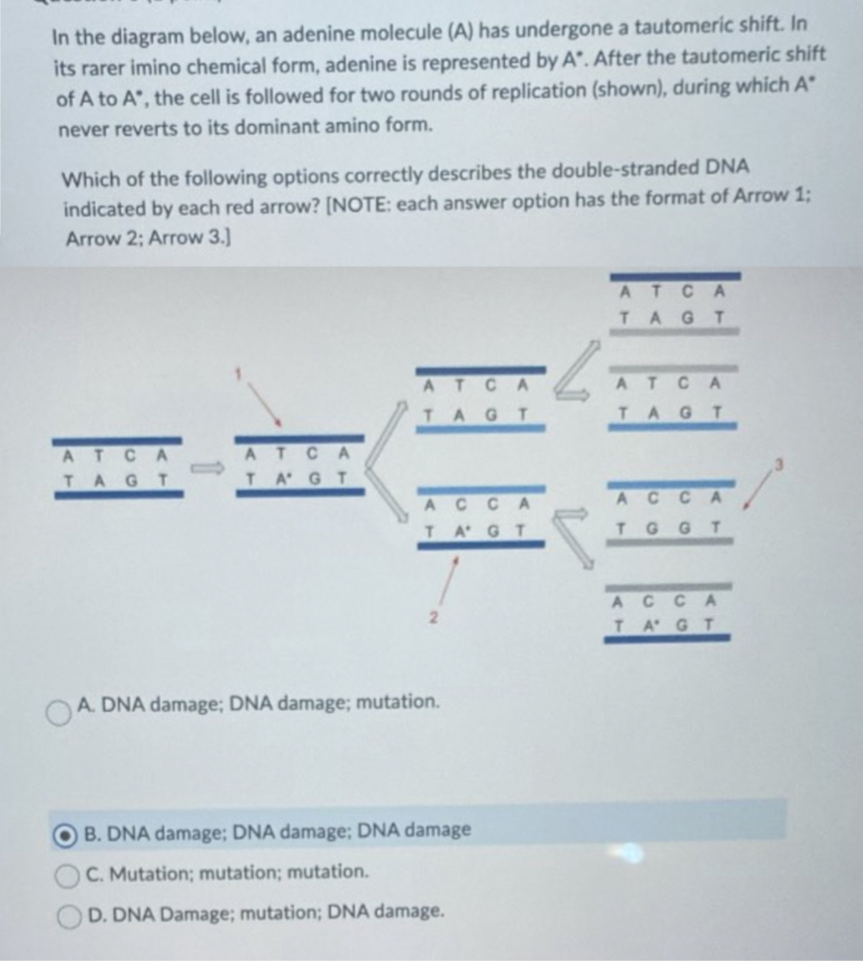 Solved indicated by each red arrow? [NOTE: each answer | Chegg.com