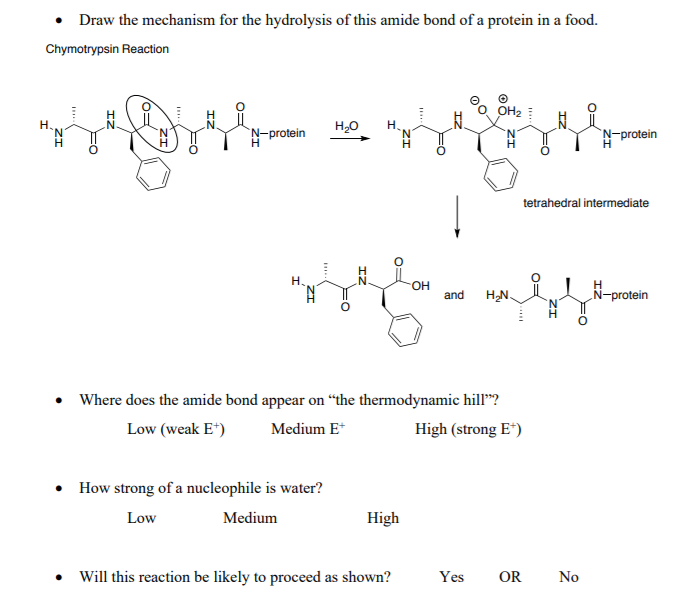 Solved Draw the mechanism for the hydrolysis of this amide | Chegg.com