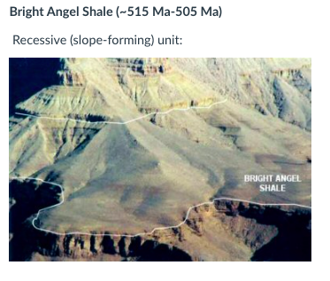 Solved Bright Angel Shale (-515 Ma-505 Ma) Recessive | Chegg.com