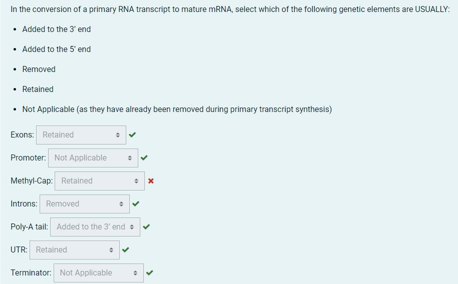 Solved A eukaryotic gene with constitutive expression has | Chegg.com