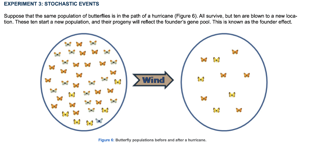 Solved Experiment Inventory Materials Labware Beads in | Chegg.com