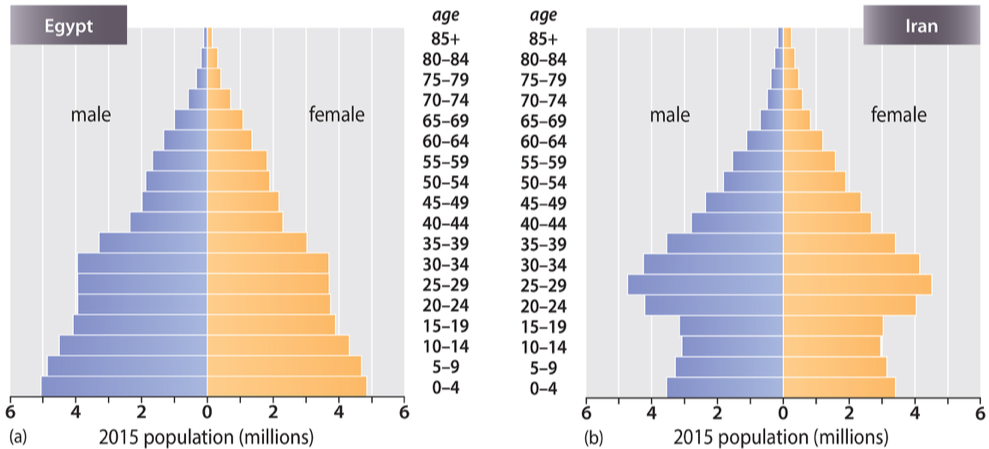 Solved Which of the following statements is TRUE regarding | Chegg.com