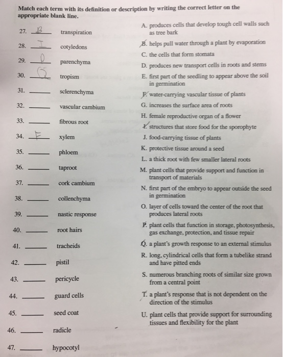 Solved Match each term with its definition or description by | Chegg.com