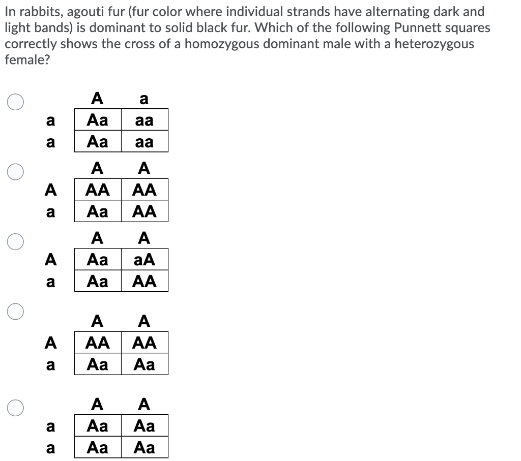 Solved In rabbits, agouti fur (fur color where individual | Chegg.com