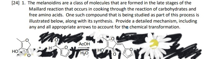 Solved [24] 1. The melanoidins are a class of molecules that | Chegg.com