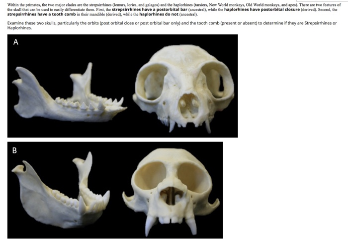 Solved same as first question you have the picture and then | Chegg.com