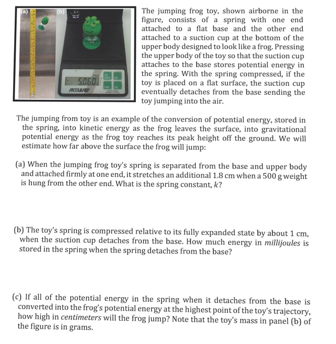 Solved The jumping frog toy, shown airborne in the figure, | Chegg.com