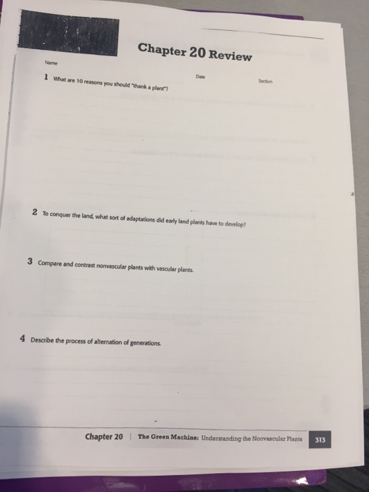 Solved Chapter 20 Review Name Section 1 What are 10 reasons | Chegg.com