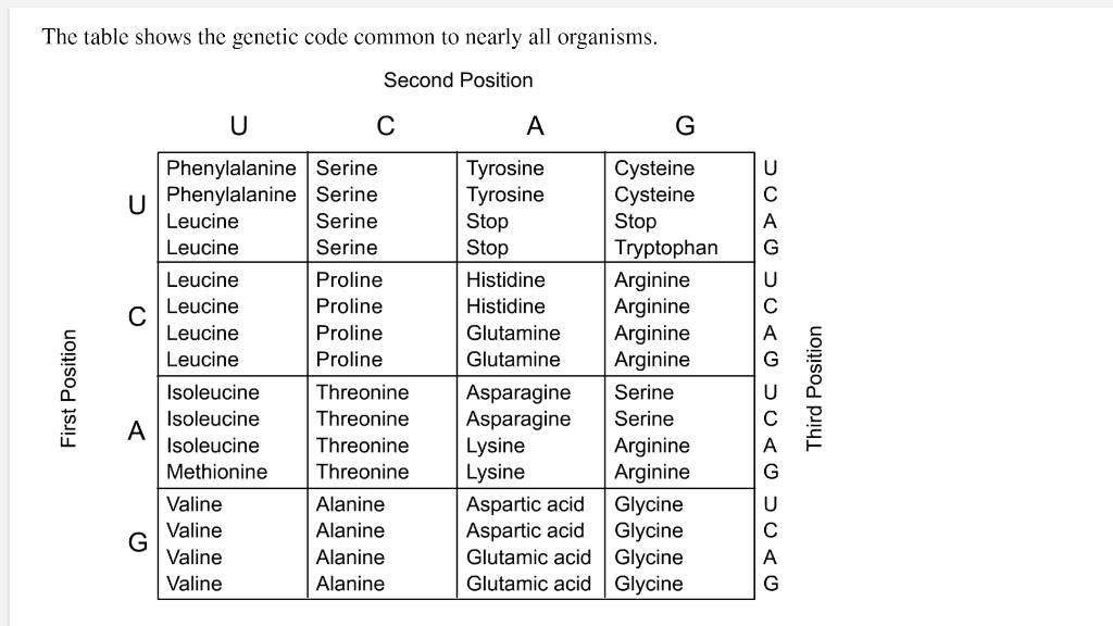 Solved The table shows the genetic code common to nearly all | Chegg.com Solved The table shows the genetic code common to nearly all | Chegg.com