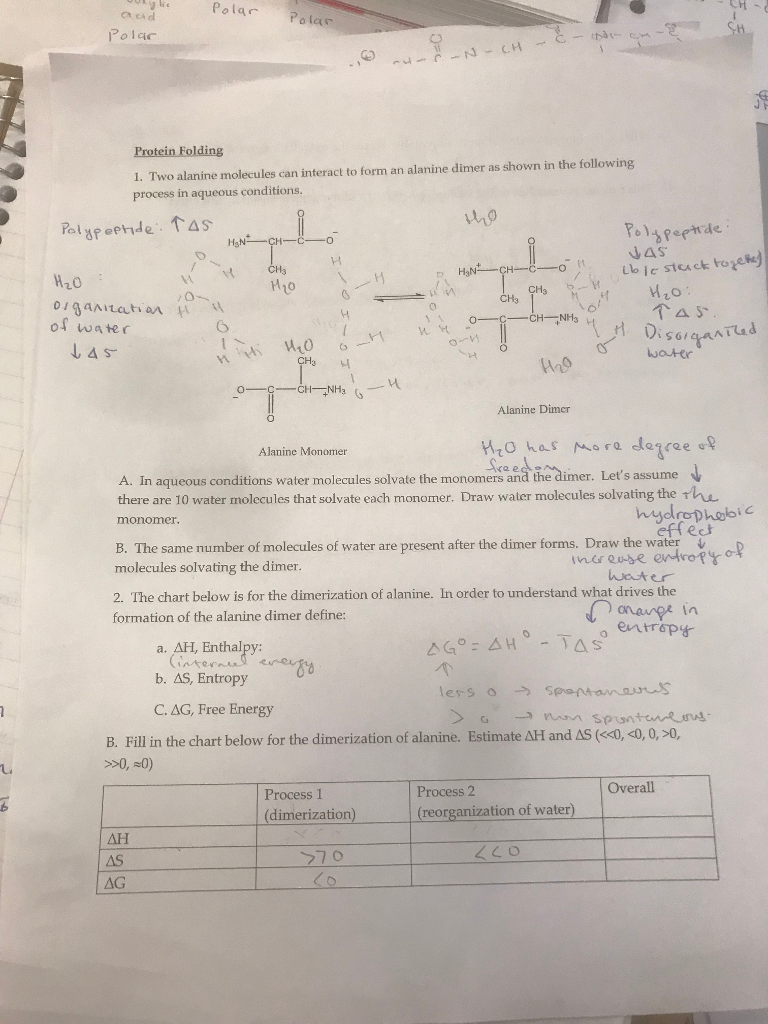 Solved Po la Protein Folding I. Two alanine molecules can | Chegg.com