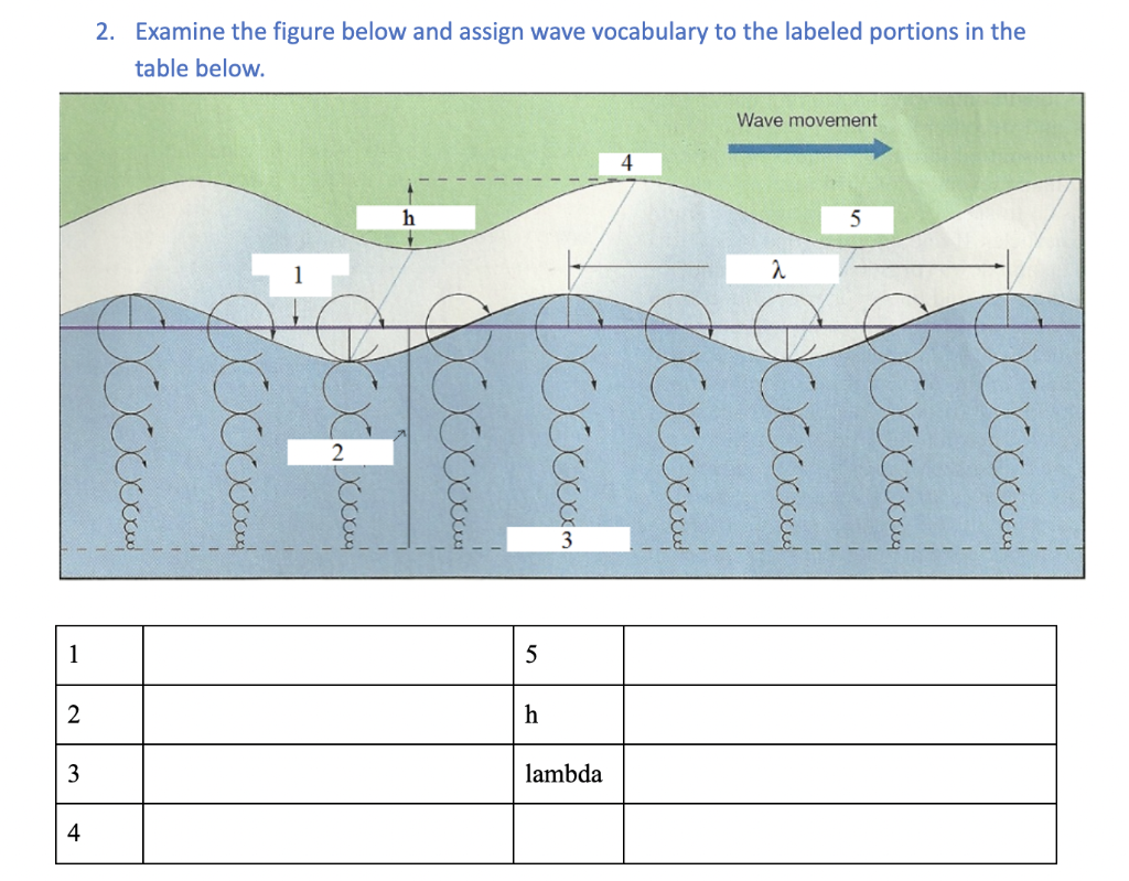 Solved Define each of the wave terms listed in the | Chegg.com