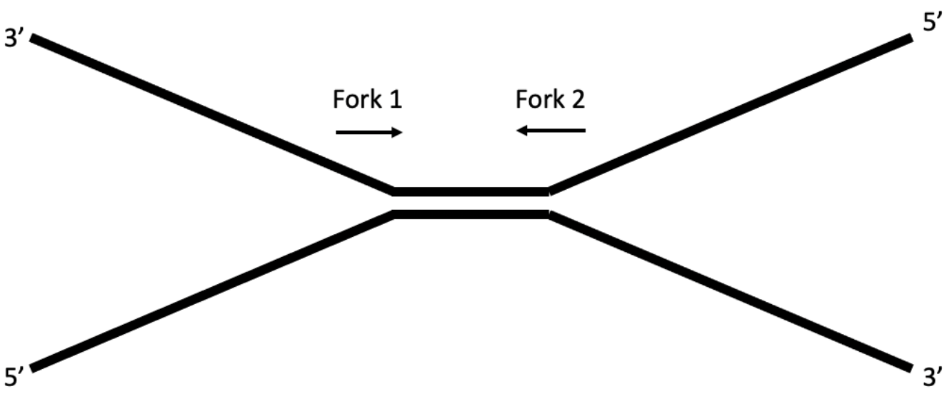 Solved Please annotate the diagram I provided The following | Chegg.com
