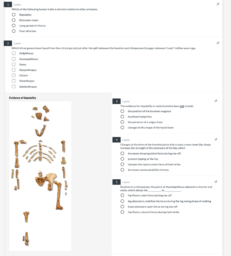 Solved 1 оооо 1 point Which of the following human traits is | Chegg.com