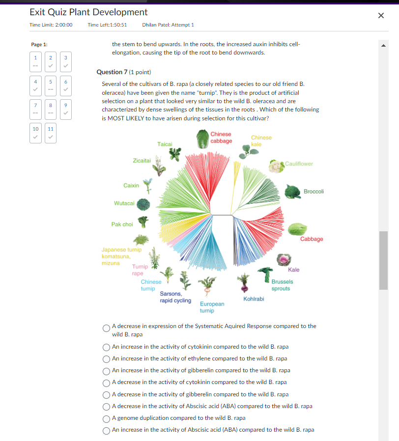 Solved the stem to bend upwards. In the roots, the increased | Chegg.com