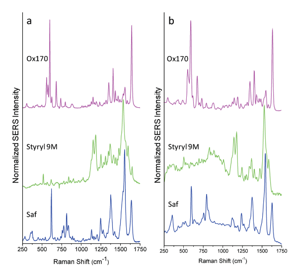 Solved Figure 2 ﻿shows ensemble and individual particle SERS | Chegg.com