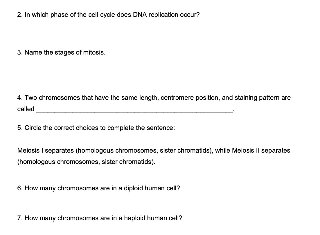 Solved 2. In which phase of the cell cycle does DNA | Chegg.com