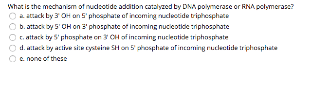 Solved What is the mechanism of nucleotide addition | Chegg.com