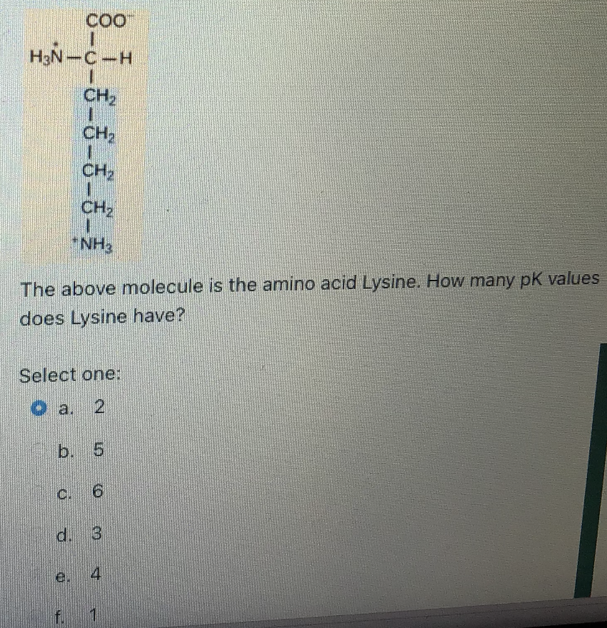 Solved COO H3N-C-H CH2 CH, CH, CH, NH3 The above molecule is | Chegg.com