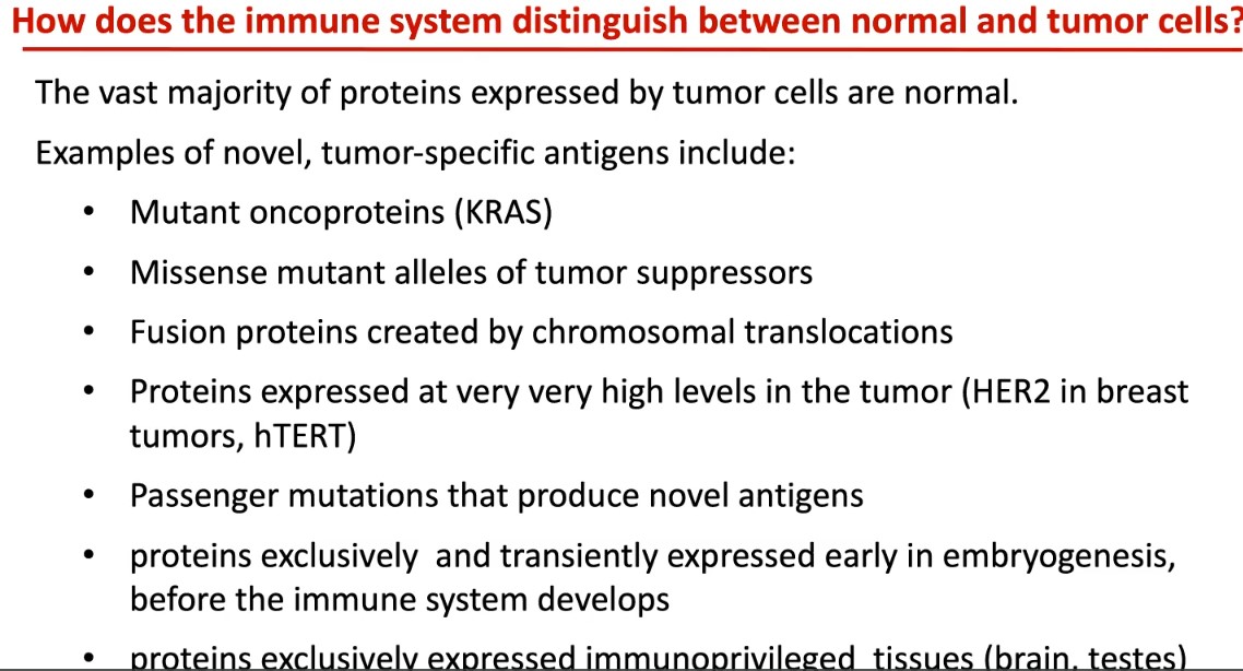 Solved How does the immune system distinguish between normal | Chegg.com