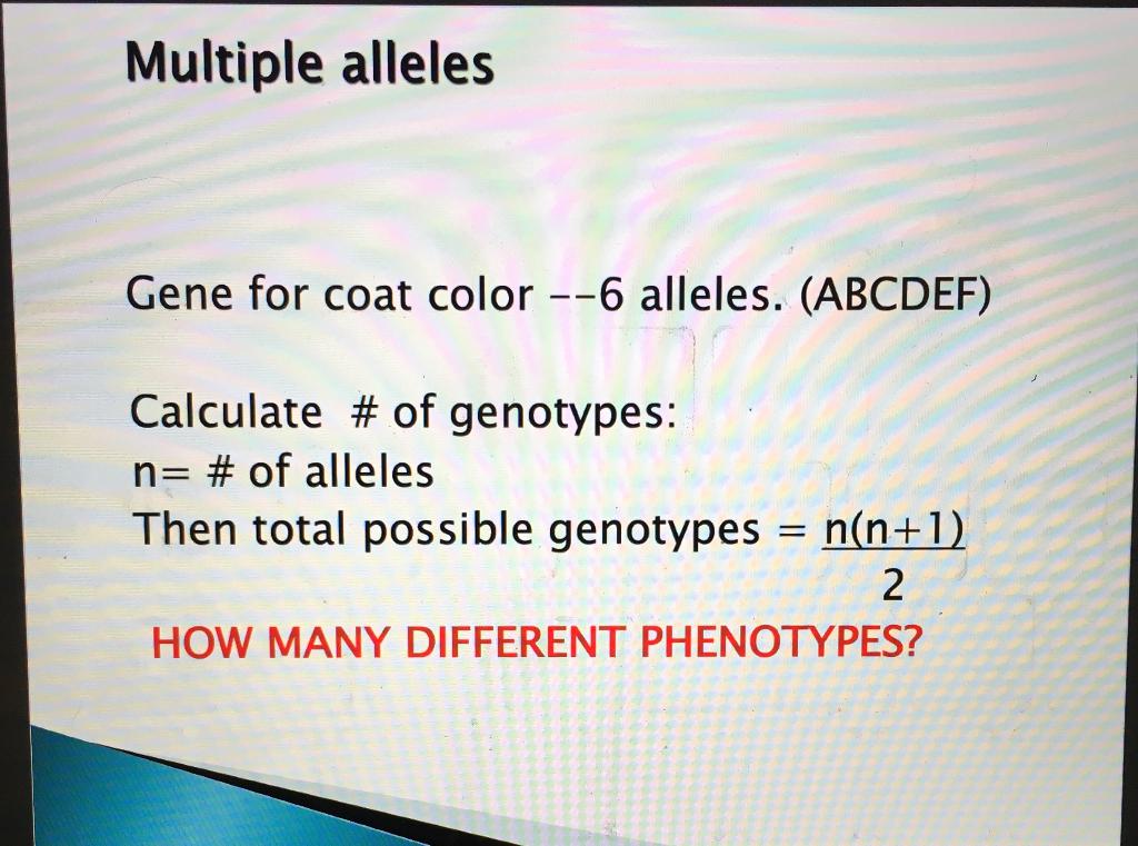 Solved Multiple alleles Gene for coat color --6 alleles. | Chegg.com