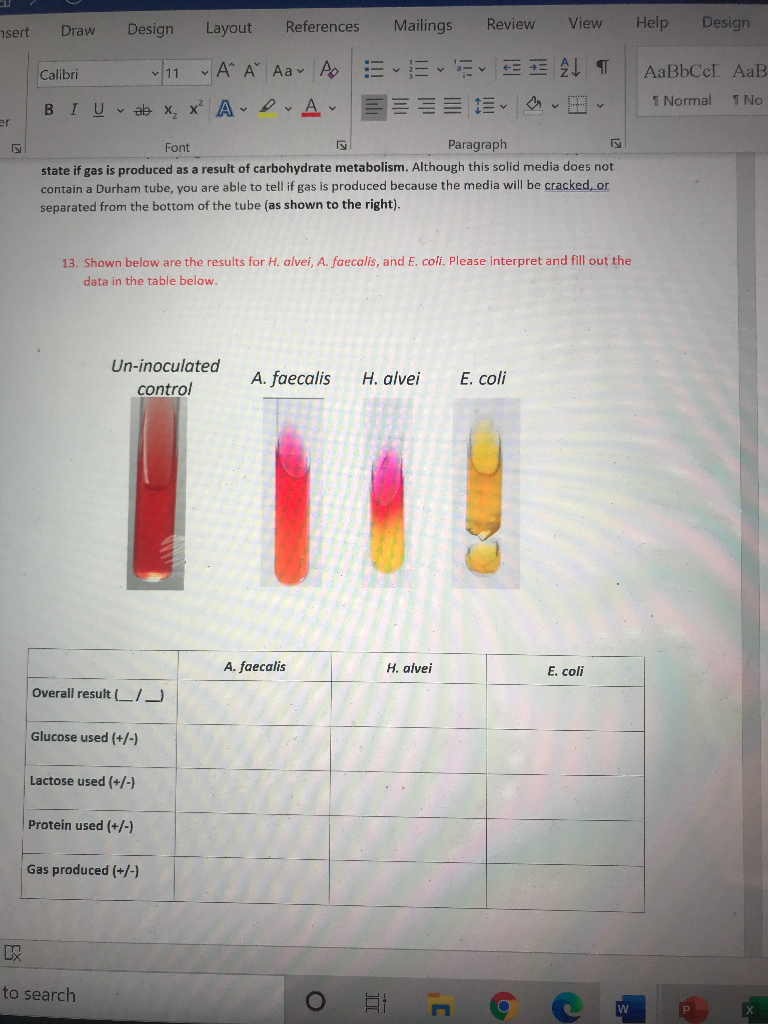 Solved Draw Design Layout References sert Mailings Review | Chegg.com Solved Draw Design Layout References sert Mailings Review | Chegg.com