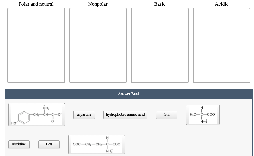 Solved Polar and neutral Nonpolar Basic Acidic Answer Bank | Chegg.com