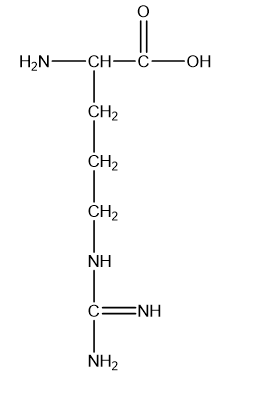 Solved H2N-CH-C-OH CH2 CH2 CH2 NH ENH NH2 | Chegg.com