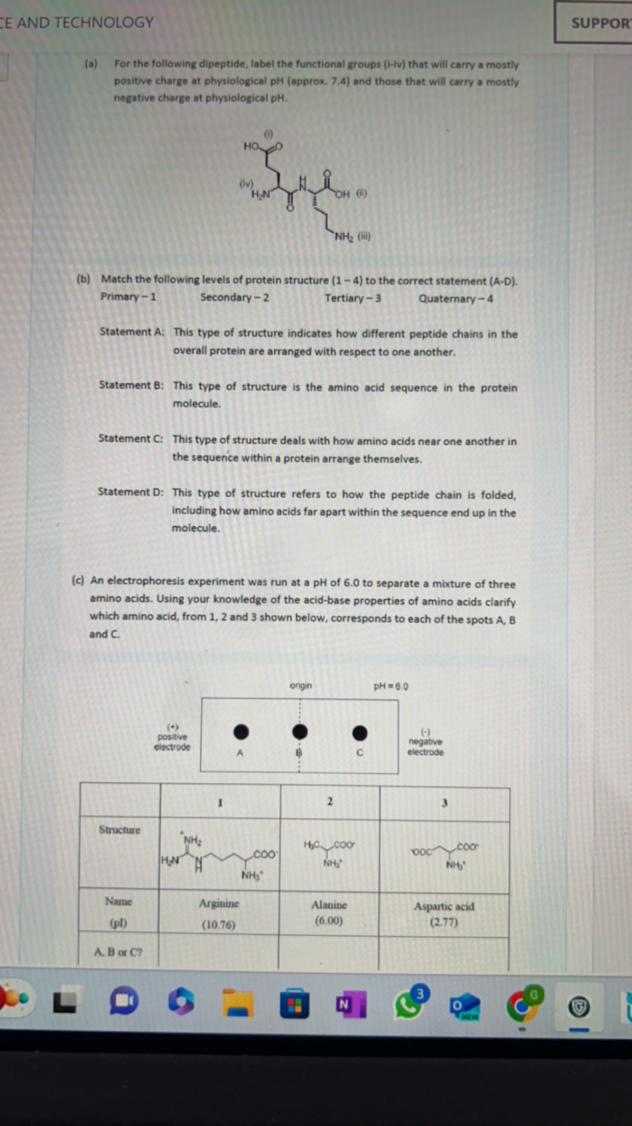 Solved (a) For the following dipeptide, label the functional | Chegg.com