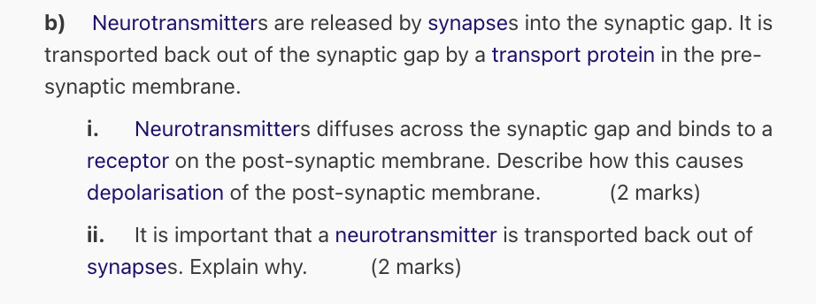Solved b) Neurotransmitters are released by synapses into | Chegg.com
