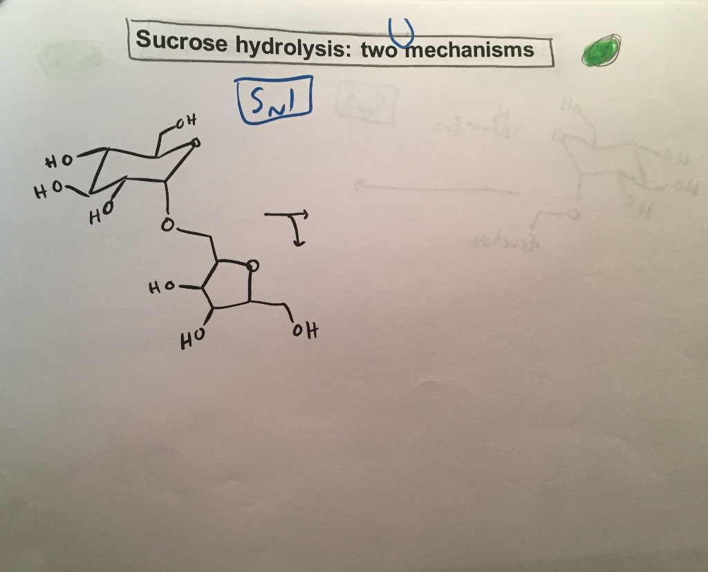 Solved Sucrose hydrolysis: two mechanisms SN2 나6 | Chegg.com