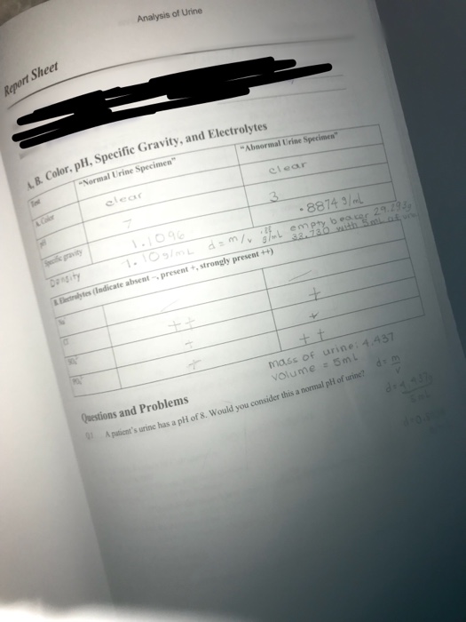 Solved I need to write a conclusion for my lab report. It | Chegg.com