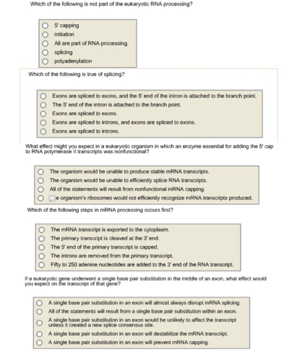 Solved Which of the following is not part of the eukaryotic | Chegg.com
