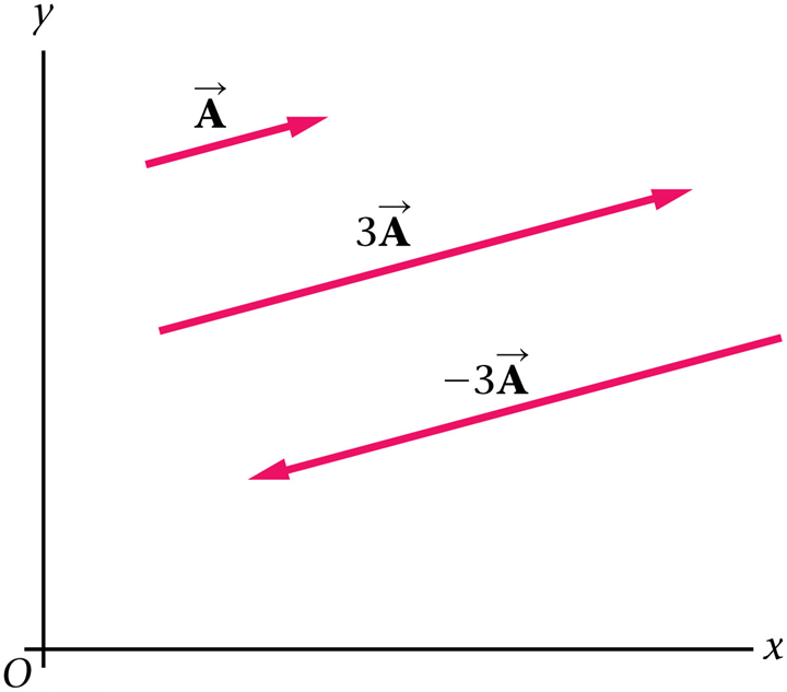 •Multiply unit vectors by scalars: The multiplier | Chegg.com