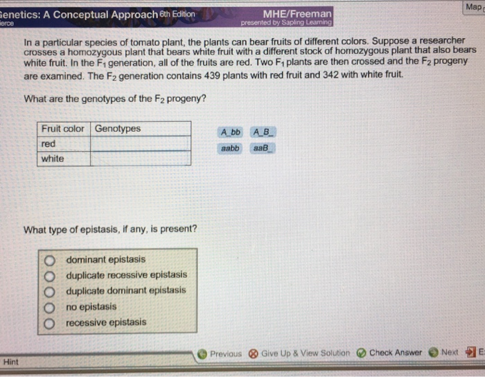 Solved Map enetics: A Conceptual Approach Sth Edlon | Chegg.com