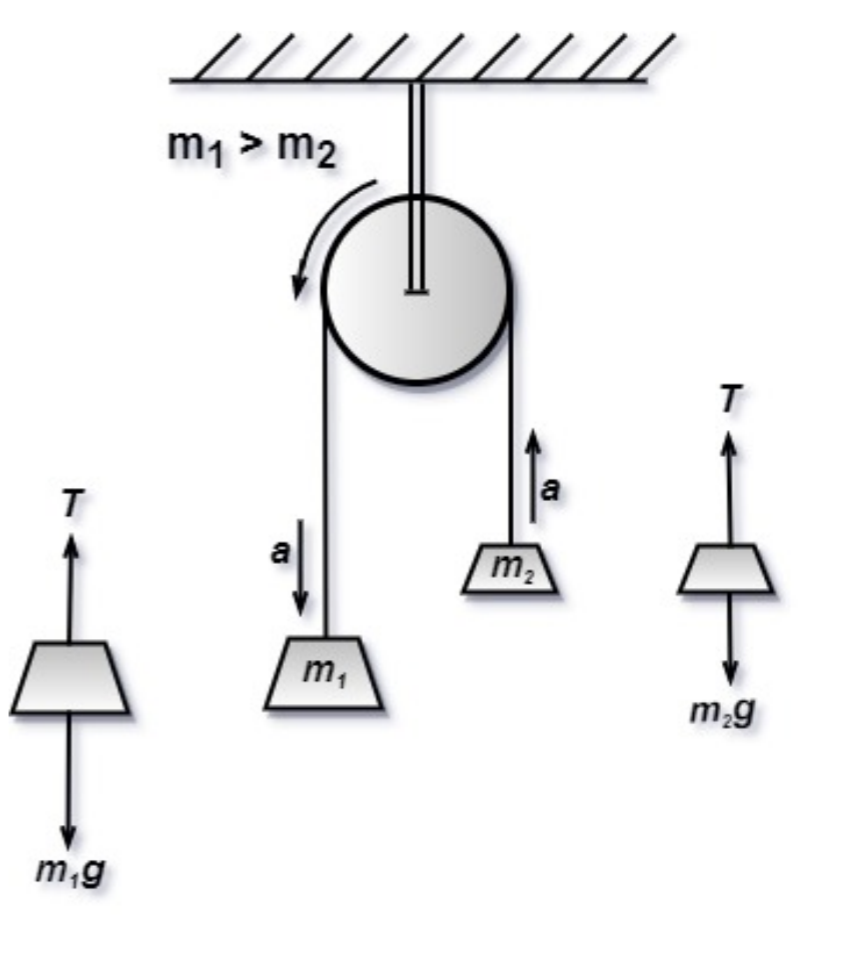 Solved A) Calculate the magnitude and direction of the | Chegg.com