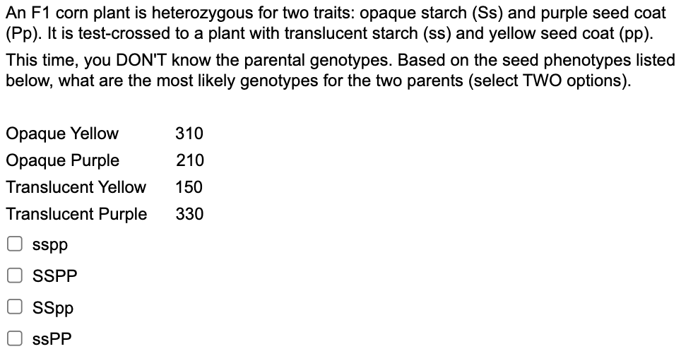 Solved An F1 corn plant is heterozygous for two traits: | Chegg.com