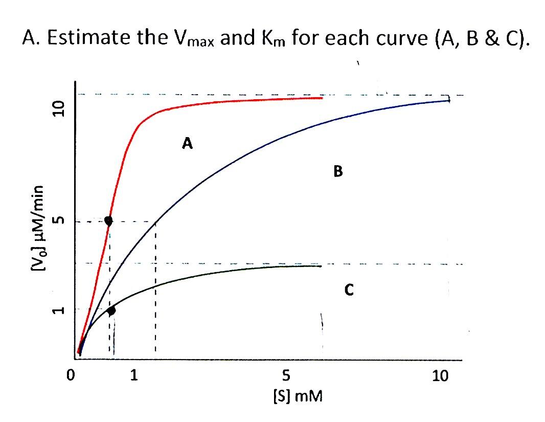 Solved A. Estimate the Vmax and Km for each curve (A,B \& C | Chegg.com