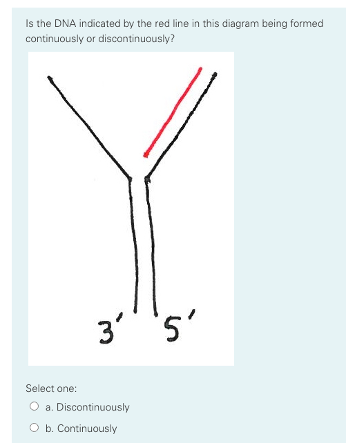 Solved Is the DNA indicated by the red line in this diagram | Chegg.com