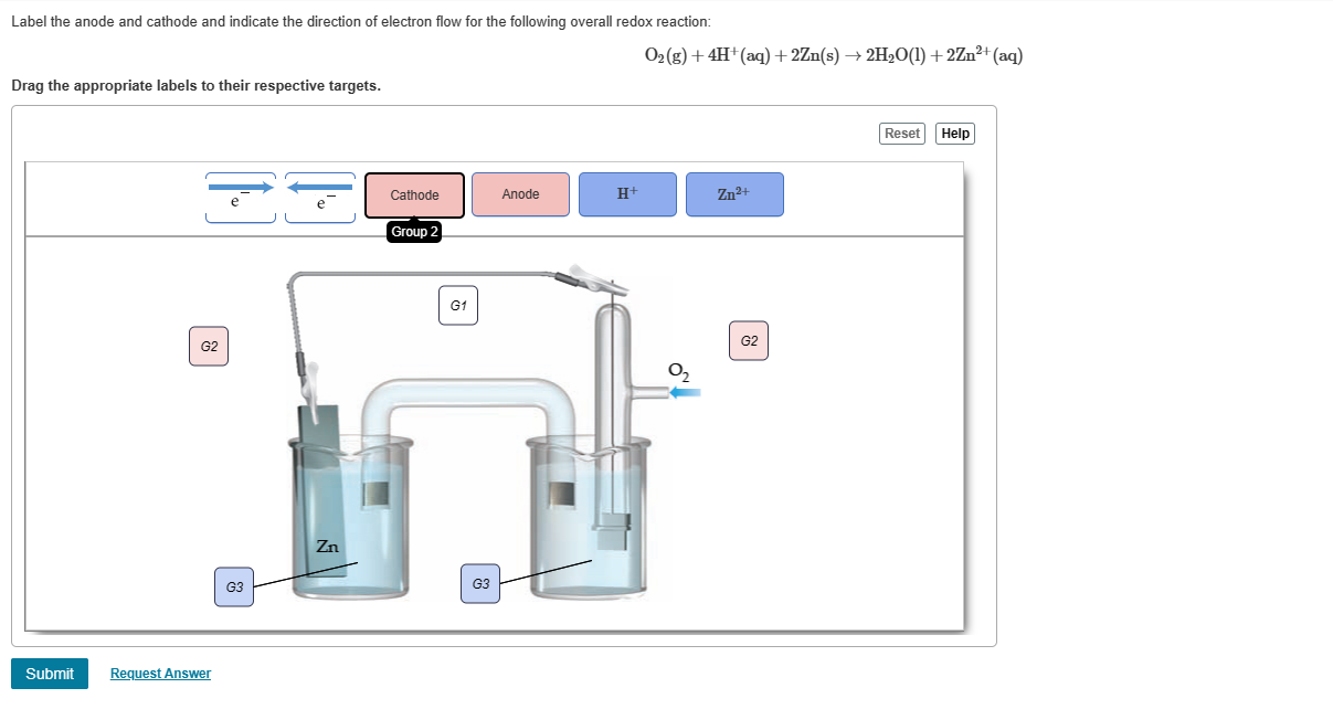 Solved Label the anode and cathode and indicate the | Chegg.com