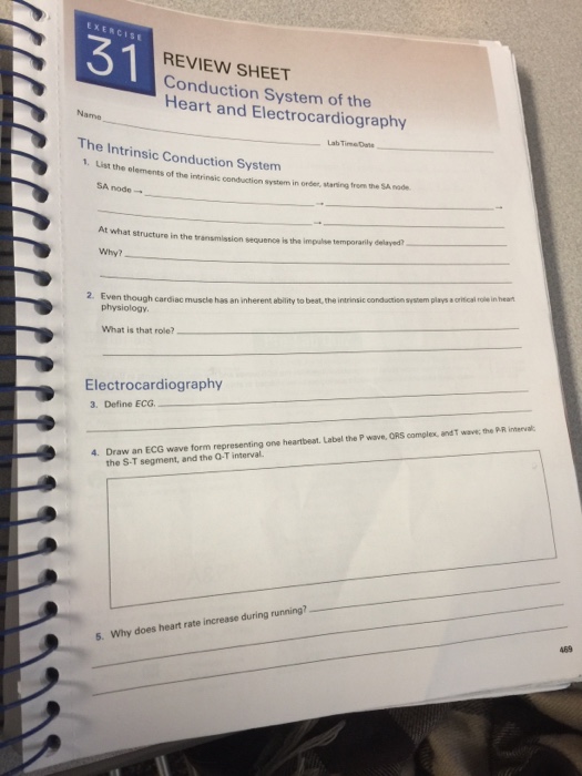 Solved list the elements of the intrinsic conduction system | Chegg.com