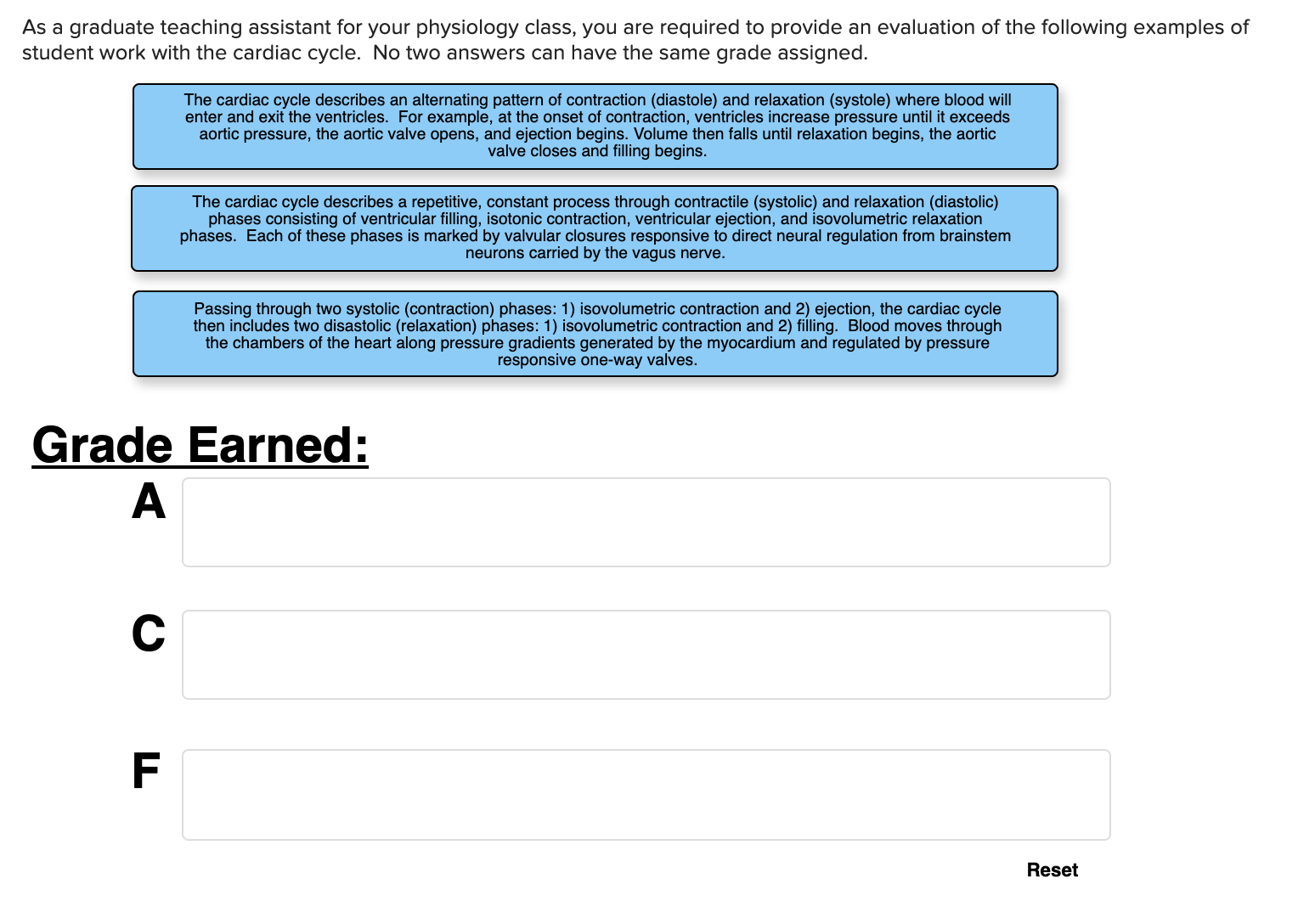Examples Of Student Work