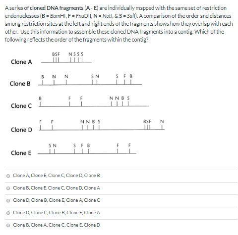 Solved A linear piece of DNA is cut by EcoRI alone, by Smal | Chegg.com