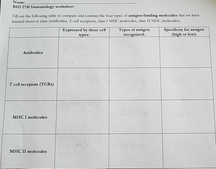 Solved Name 10 2710 Immunology worksheet Fill out the | Chegg.com